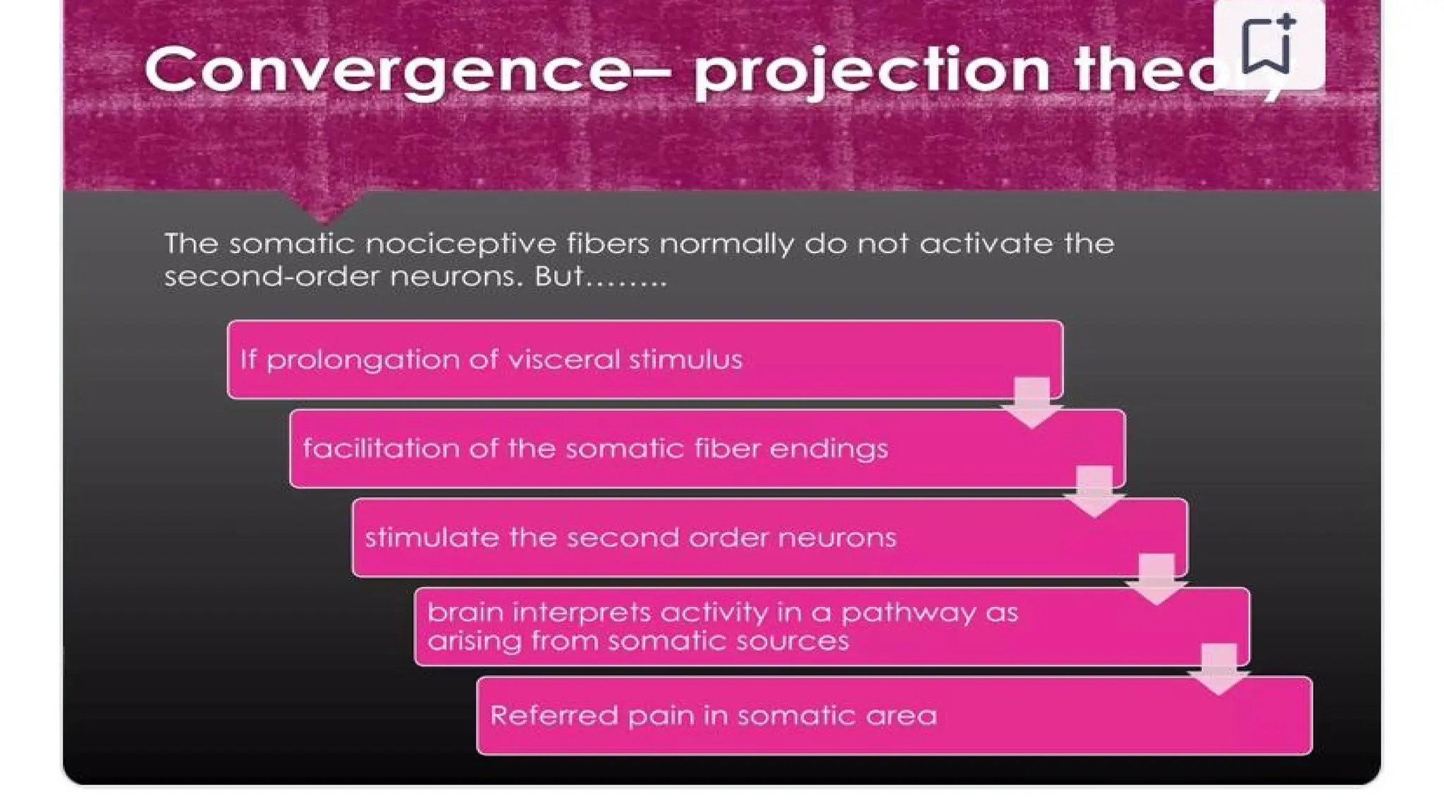 DERMATOMES AND REFERRED PAIN.prentationx | PPTX