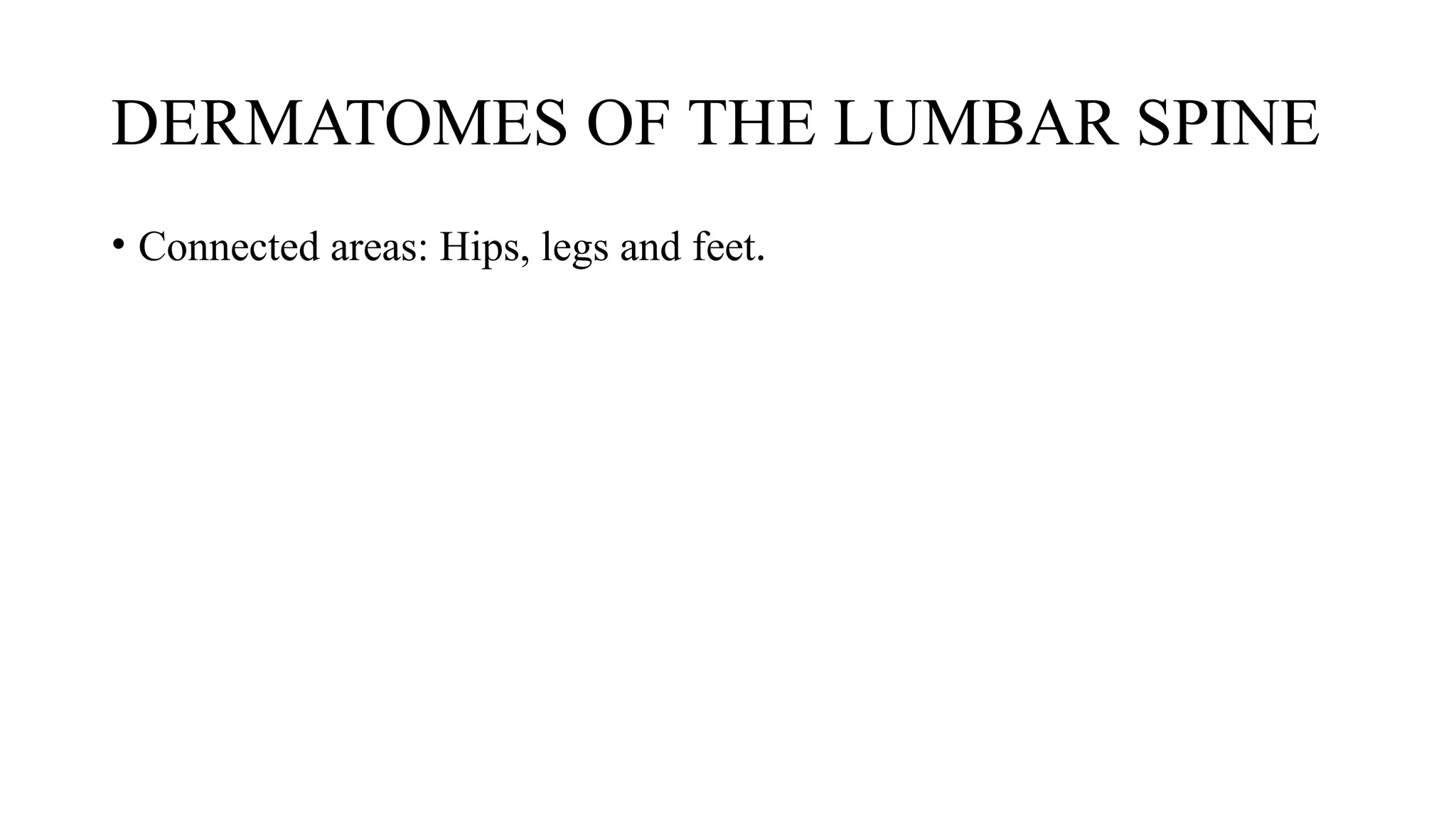 DERMATOMES AND REFERRED PAIN.prentationx | PPTX
