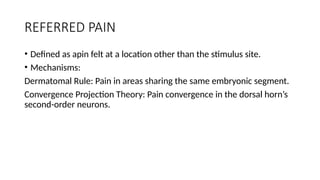 DERMATOMES AND REFERRED PAIN.prentationx | PPT