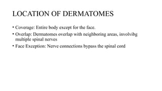 DERMATOMES AND REFERRED PAIN.prentationx | PPT