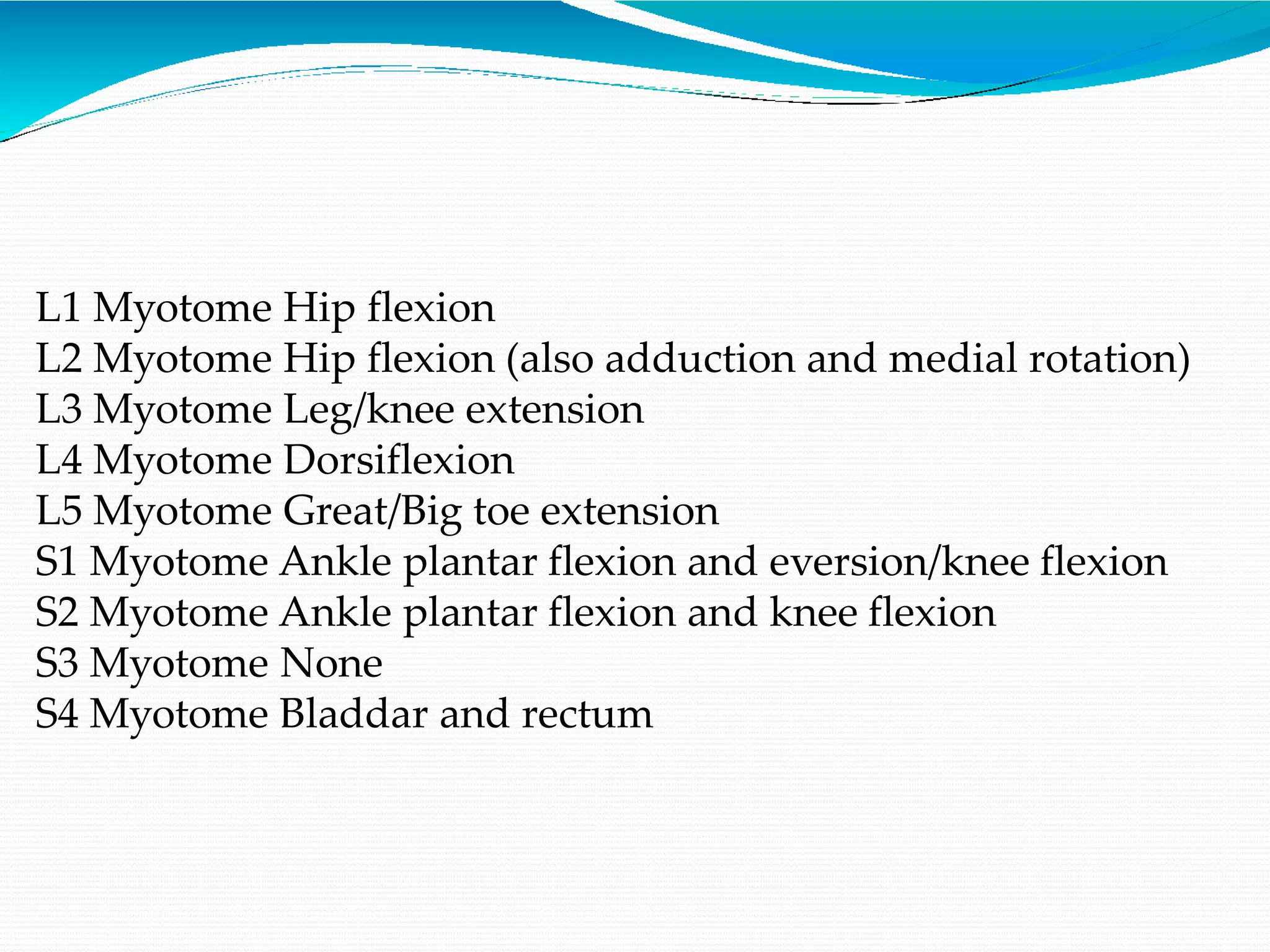 Dermatomes & Myotomes By Firdous Hussain | PPTX