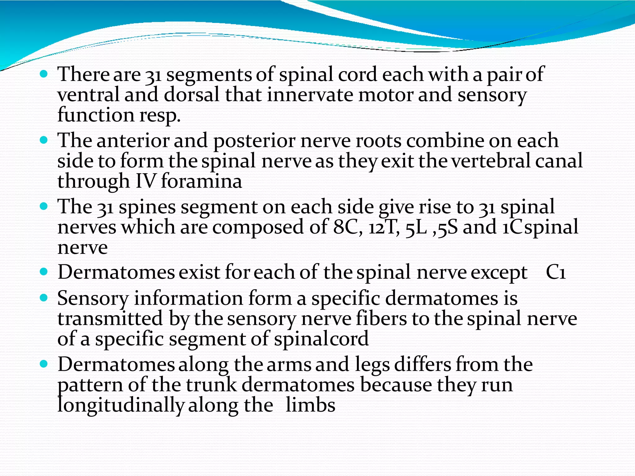 Dermatomes & Myotomes By Firdous Hussain | PPTX