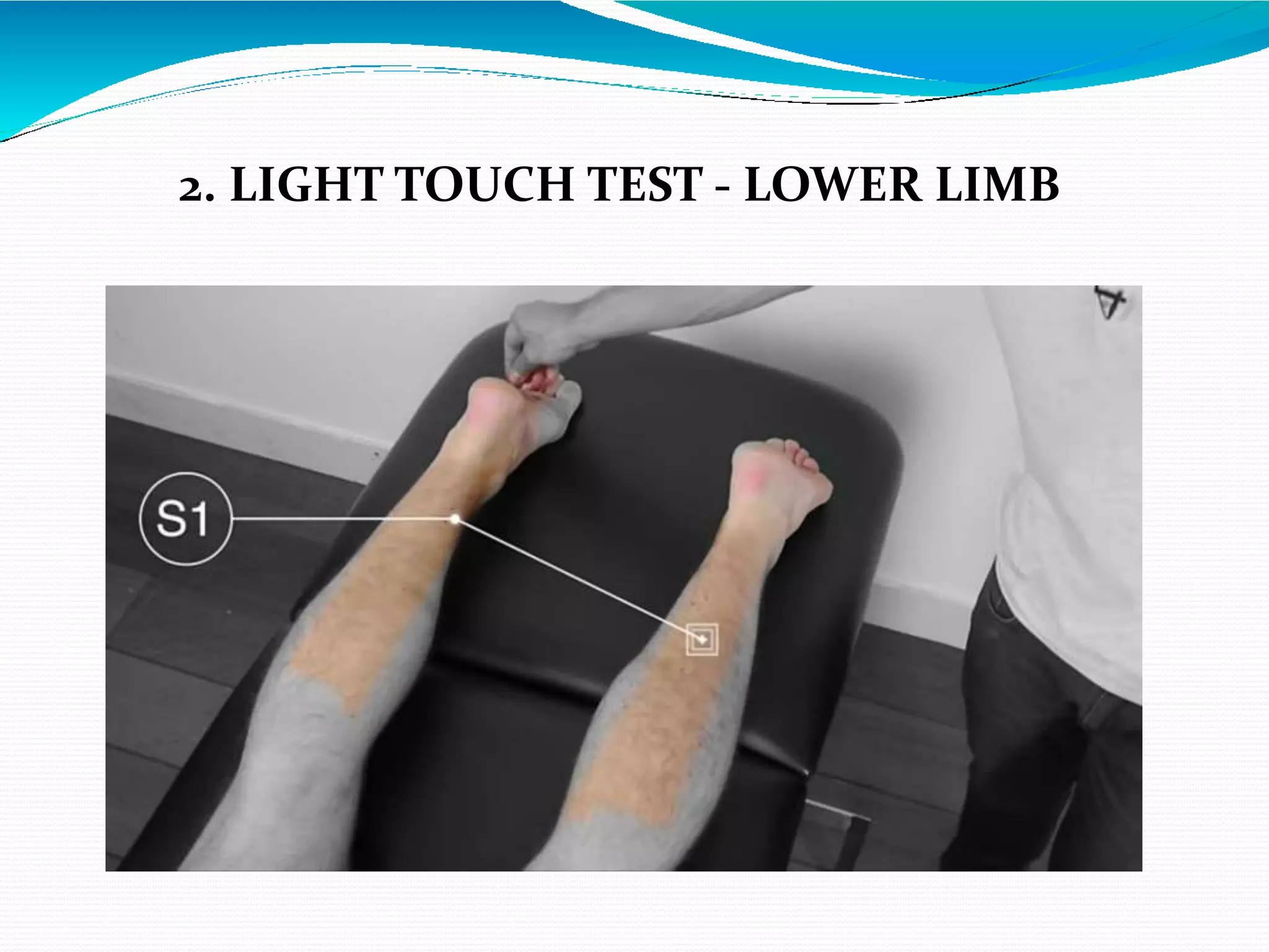 Dermatomes & Myotomes By Firdous Hussain | PPTX