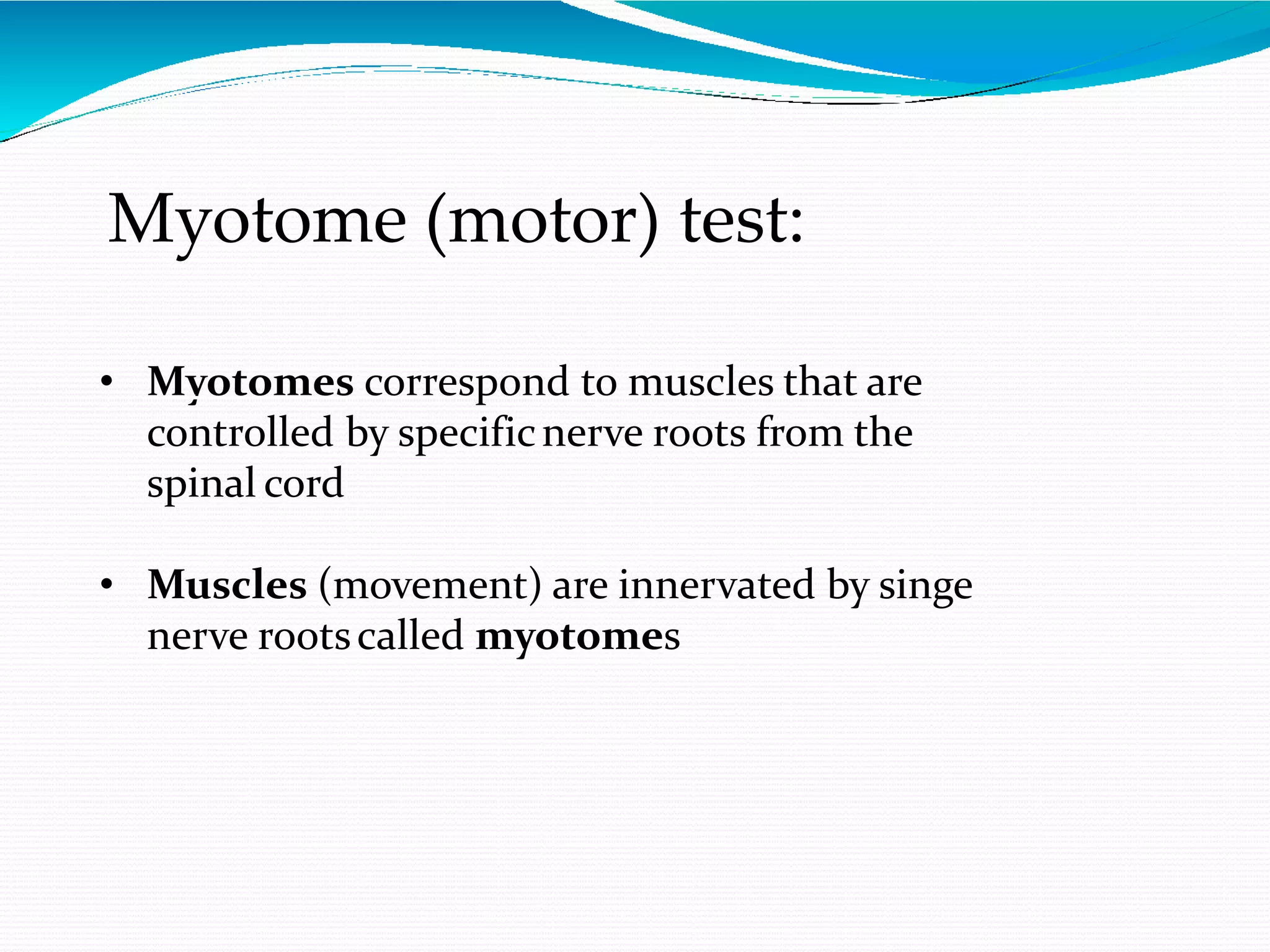 Dermatomes & Myotomes By Firdous Hussain | PPTX