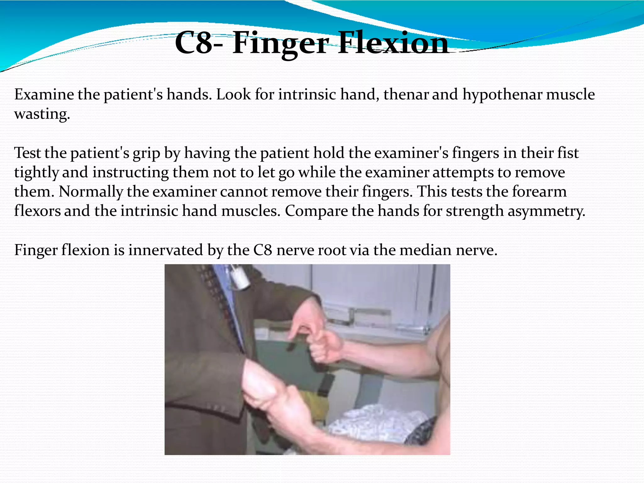 Dermatomes & Myotomes By Firdous Hussain | PPTX