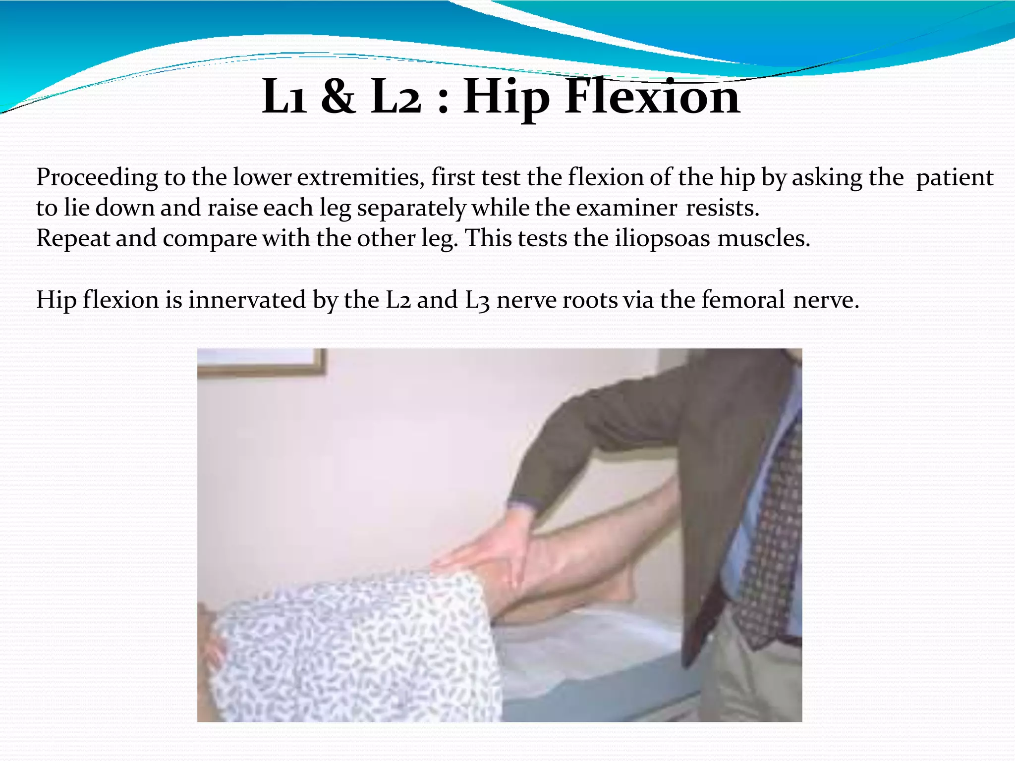 Dermatomes & Myotomes By Firdous Hussain | PPTX