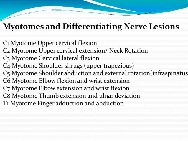 Dermatomes & Myotomes By Firdous Hussain | PPTX | Death, Injury, or ...