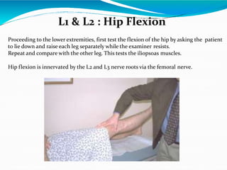 Dermatomes & Myotomes By Firdous Hussain | PPTX
