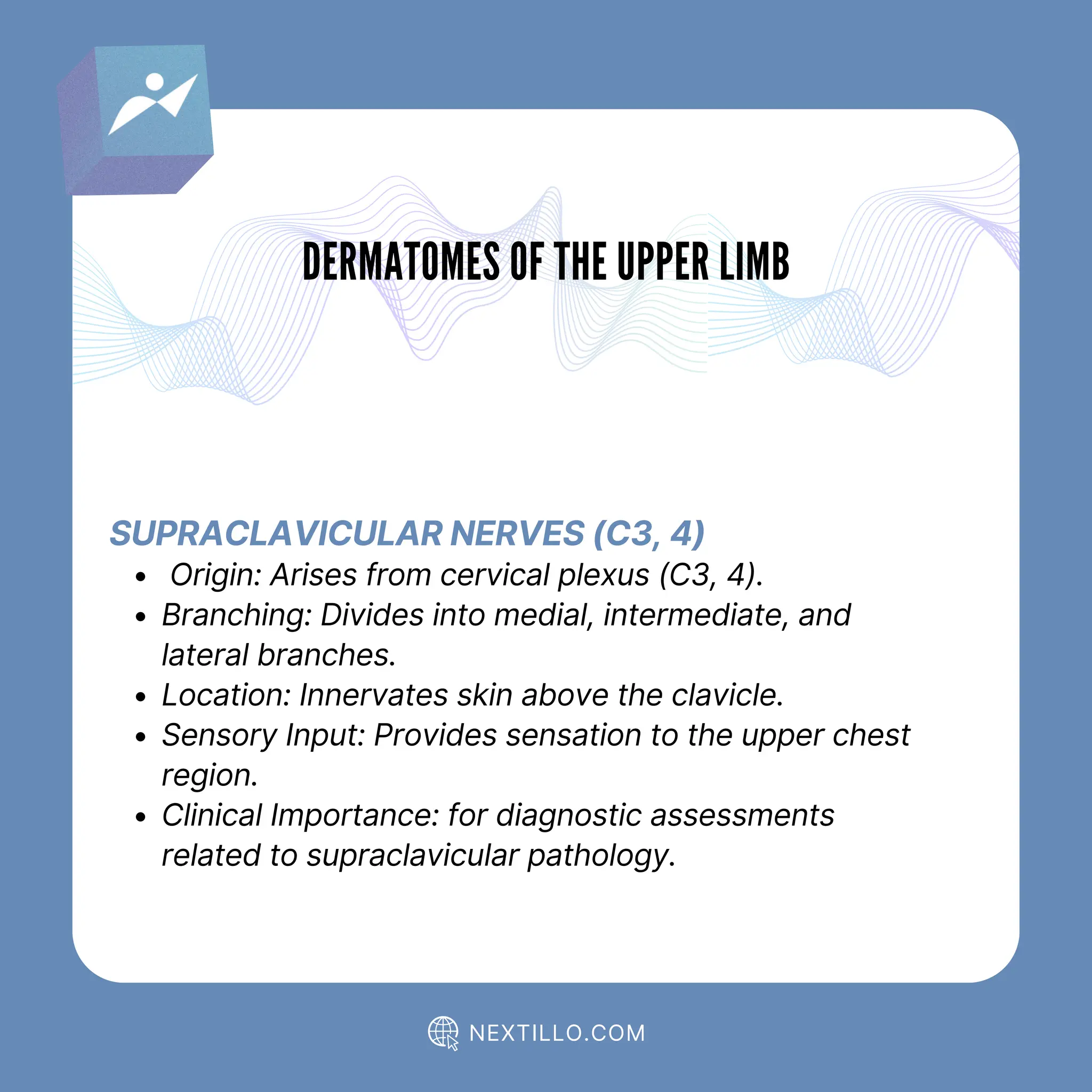 Dermatomes of the upper limb | Nextillo DIBS | PDF