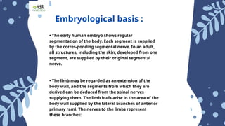 Dermatomes of the upper limb V.k.Sravani_20250326_111708_0000.pptx