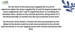 Dermatomes of the upper limb V.k.Sravani_20250326_111708_0000.pptx