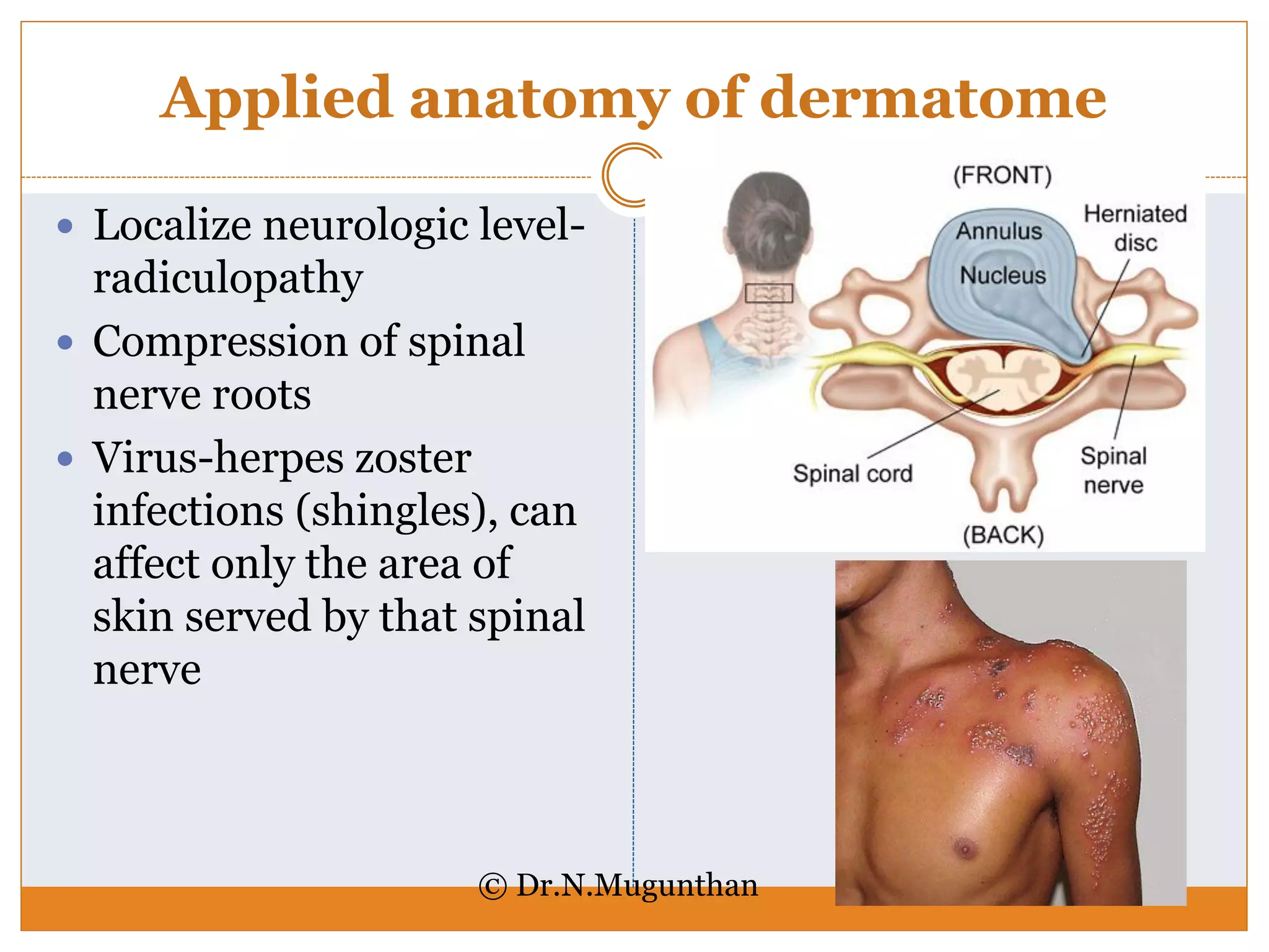 Dermatomes of upper limb- Dr.N.Mugunthan.MS