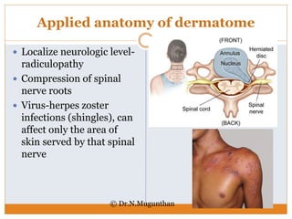 Dermatomes of upper limb- Dr.N.Mugunthan.MS