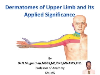 Dermatomes Arm Hand Anatomy