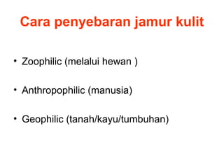 Dermatomikosis | PPT