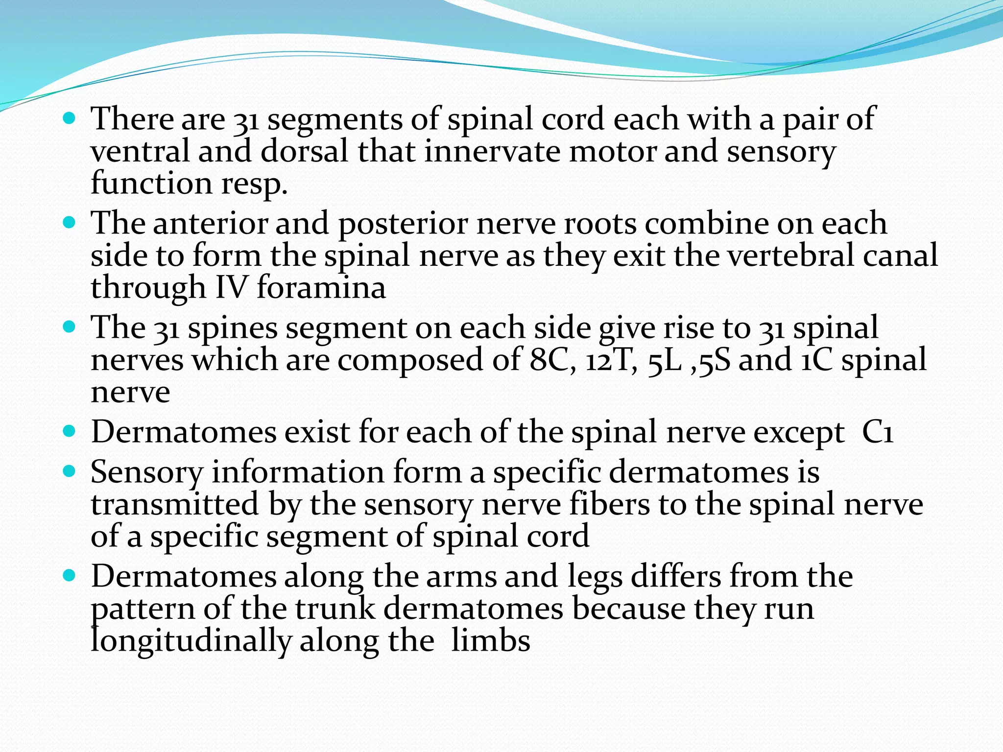 DERMATOMES AND MYOTOMES | PPTX