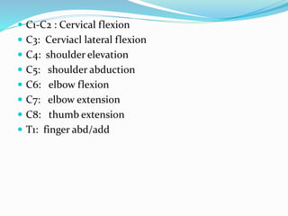 DERMATOMES AND MYOTOMES | PPTX