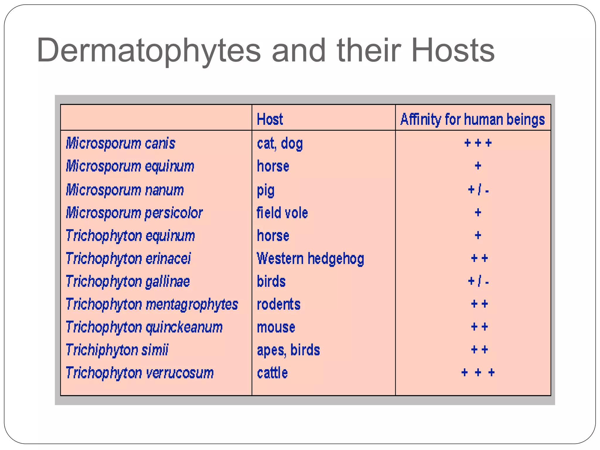 Dermatomycosis | PPTX