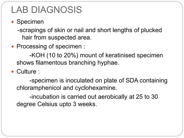 Dermatomycosis | PPTX | Skin and Dermatology | Diseases and Conditions