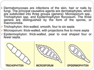 Dermatomycosis | PPTX