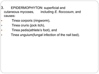 Dermatomycosis | PPTX