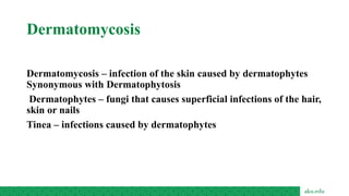 Dermatomycosis ppt fungi loving bacterias | PDF