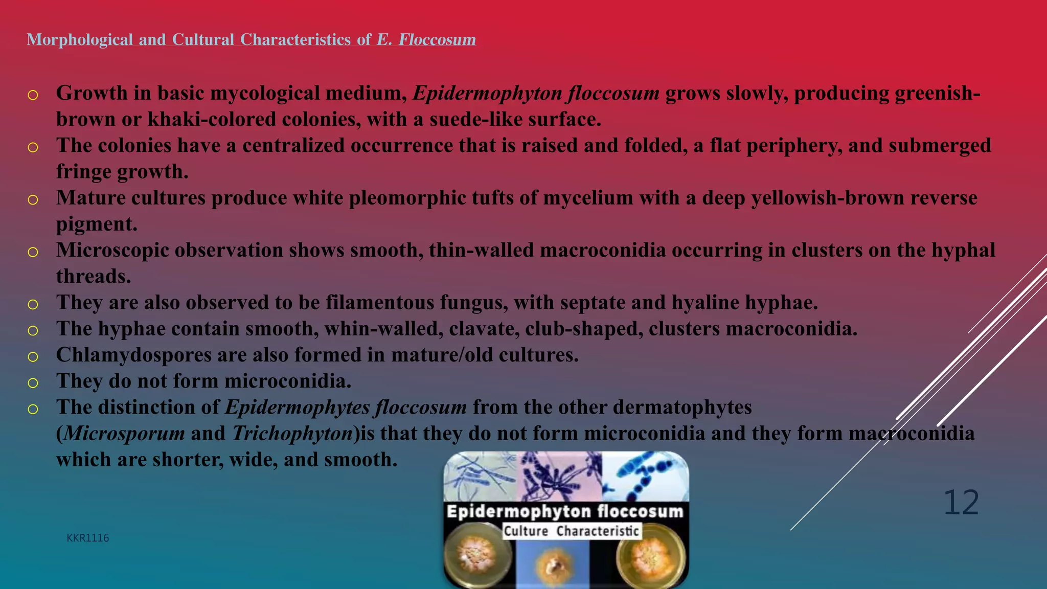 Dermatomycosis | PPTX