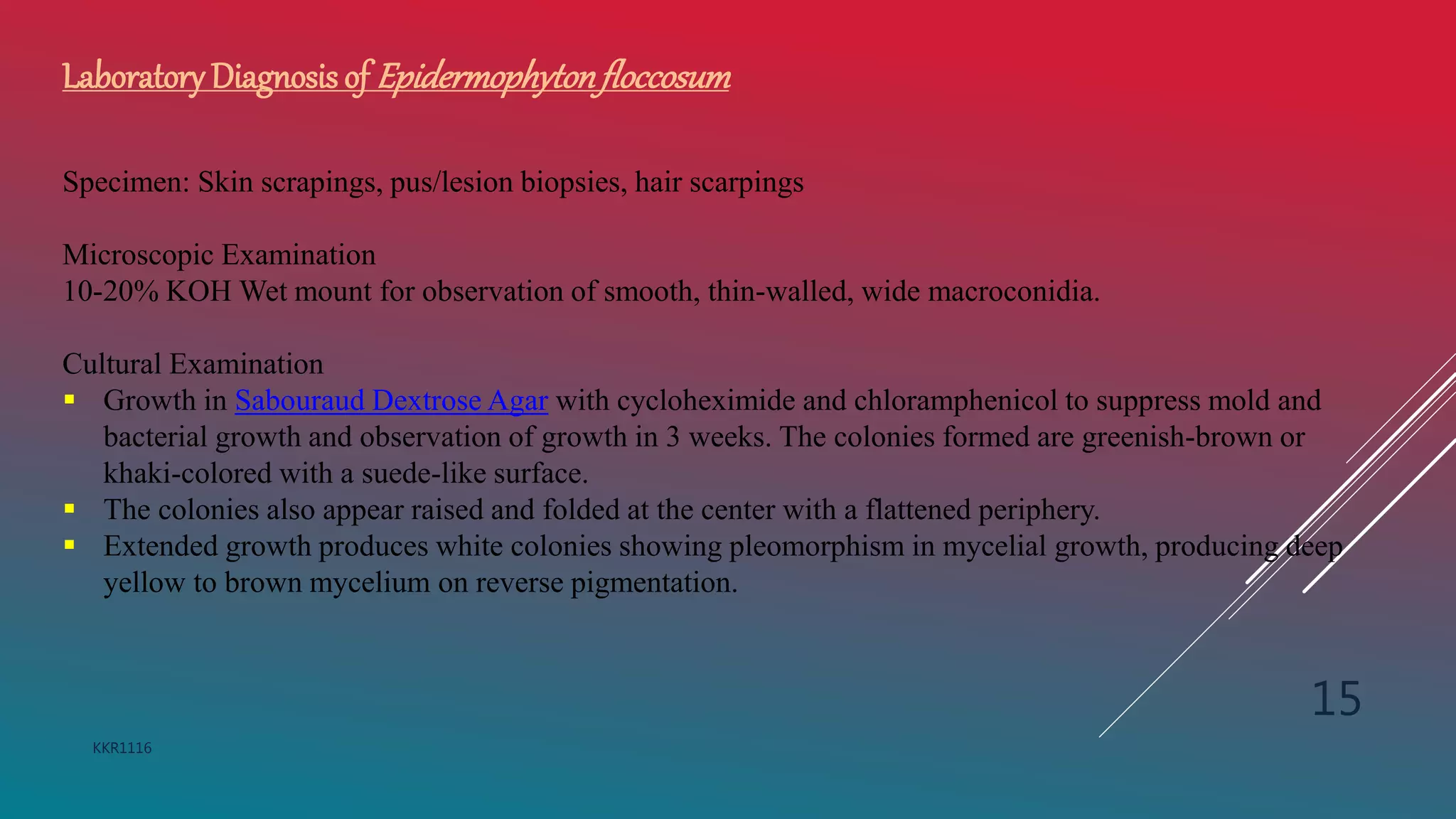 Dermatomycosis | PPTX