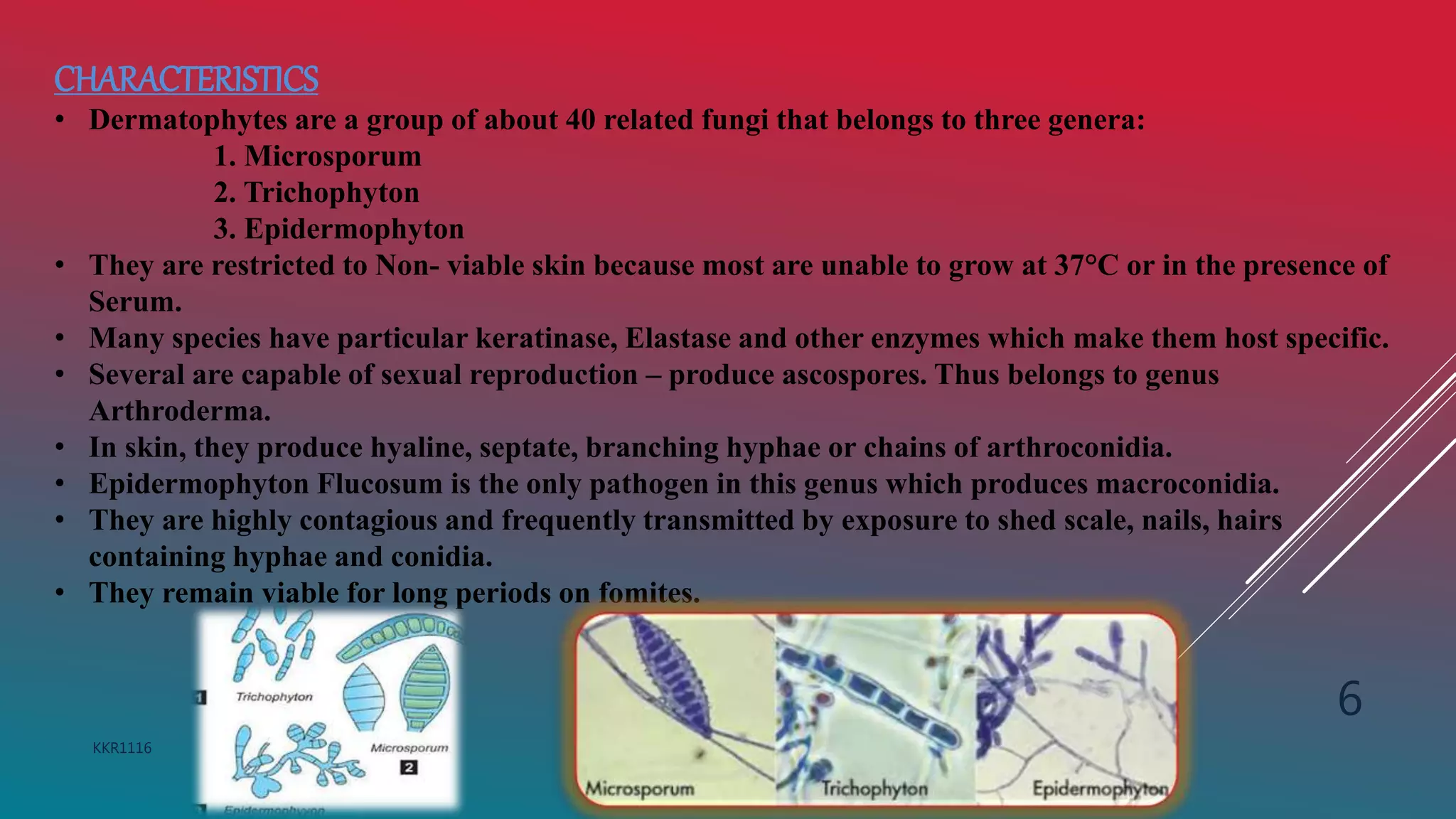 Dermatomycosis | PPTX