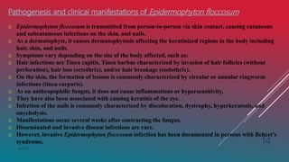 Dermatomycosis | PPTX