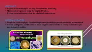 Dermatomycosis | PPTX