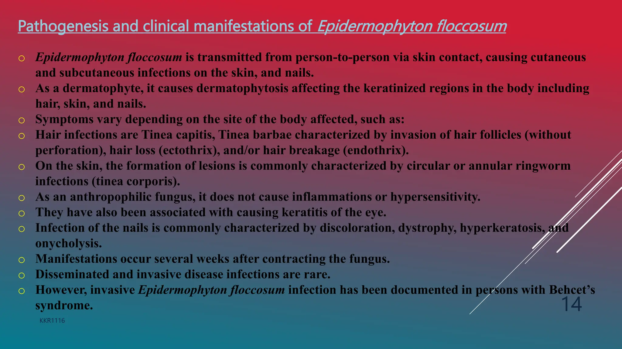 DERMATOMYCOSIS Epidermophyton KKR.pptx