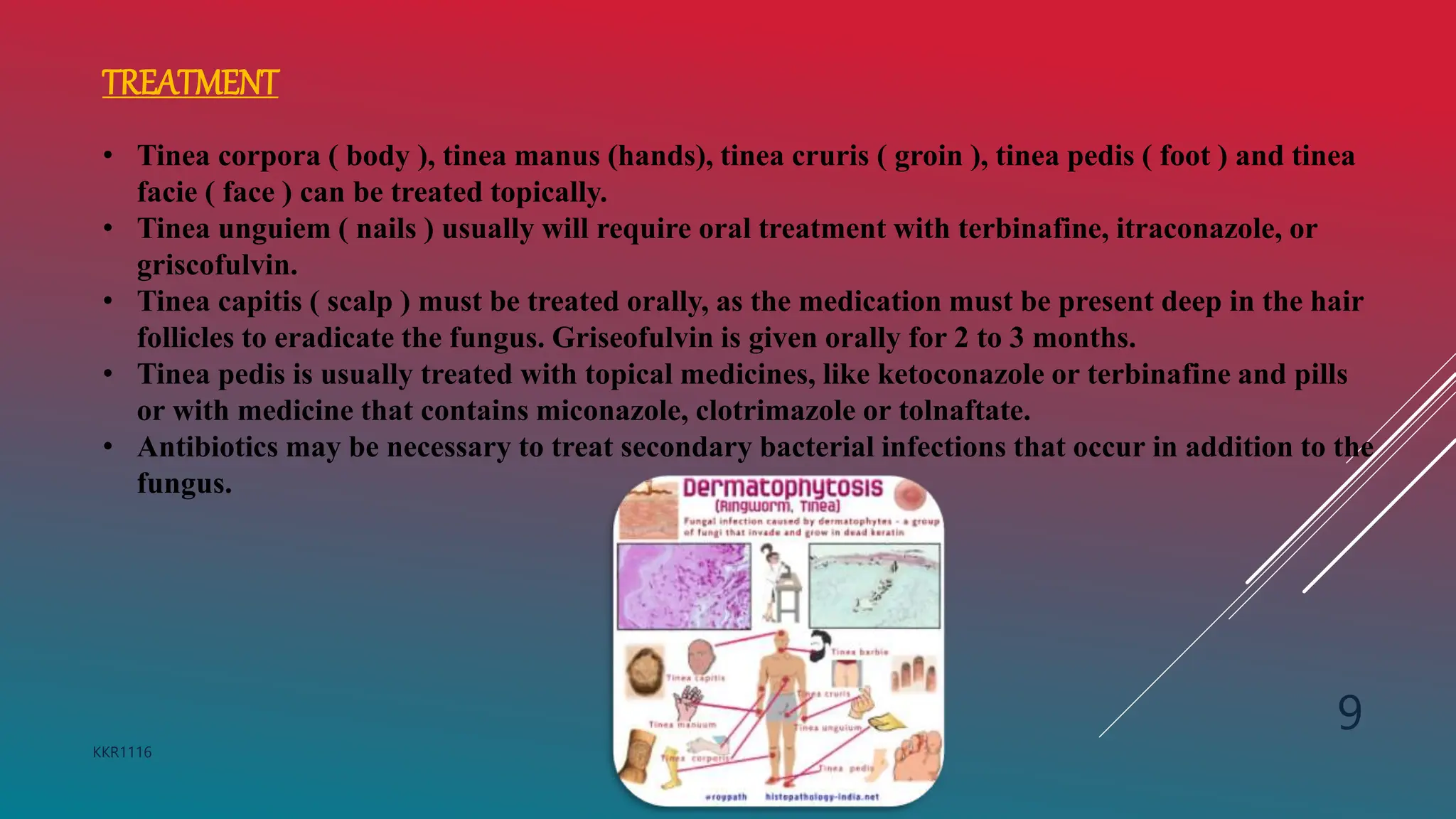 DERMATOMYCOSIS Epidermophyton KKR.pptx