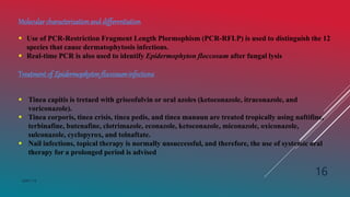 DERMATOMYCOSIS Epidermophyton KKR.pptx | Skin and Dermatology | Diseases and Conditions