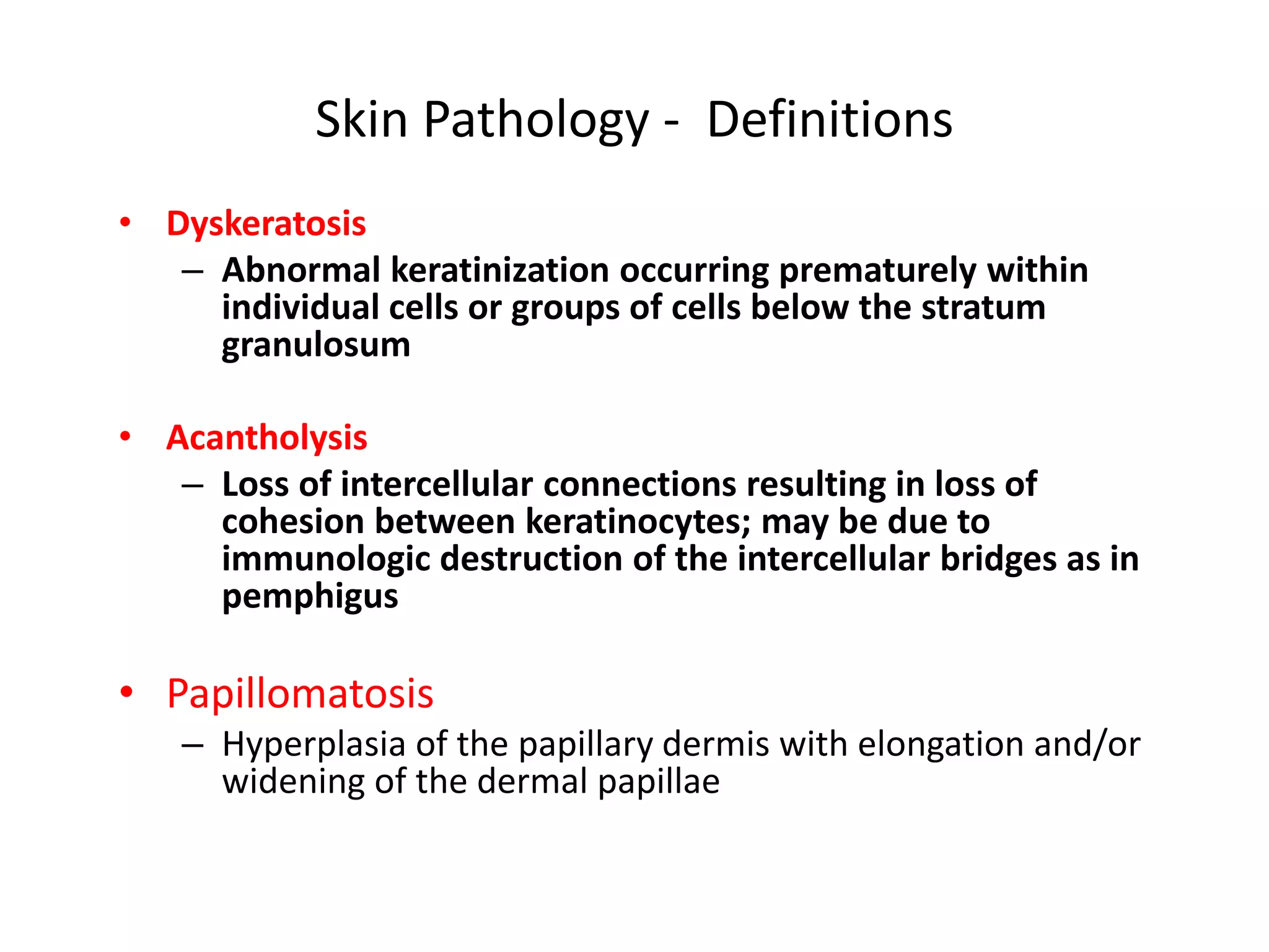 Dermatopathology1 | PPT | Skin and Dermatology | Diseases and Conditions
