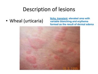 Dermatopathology1 | PPT