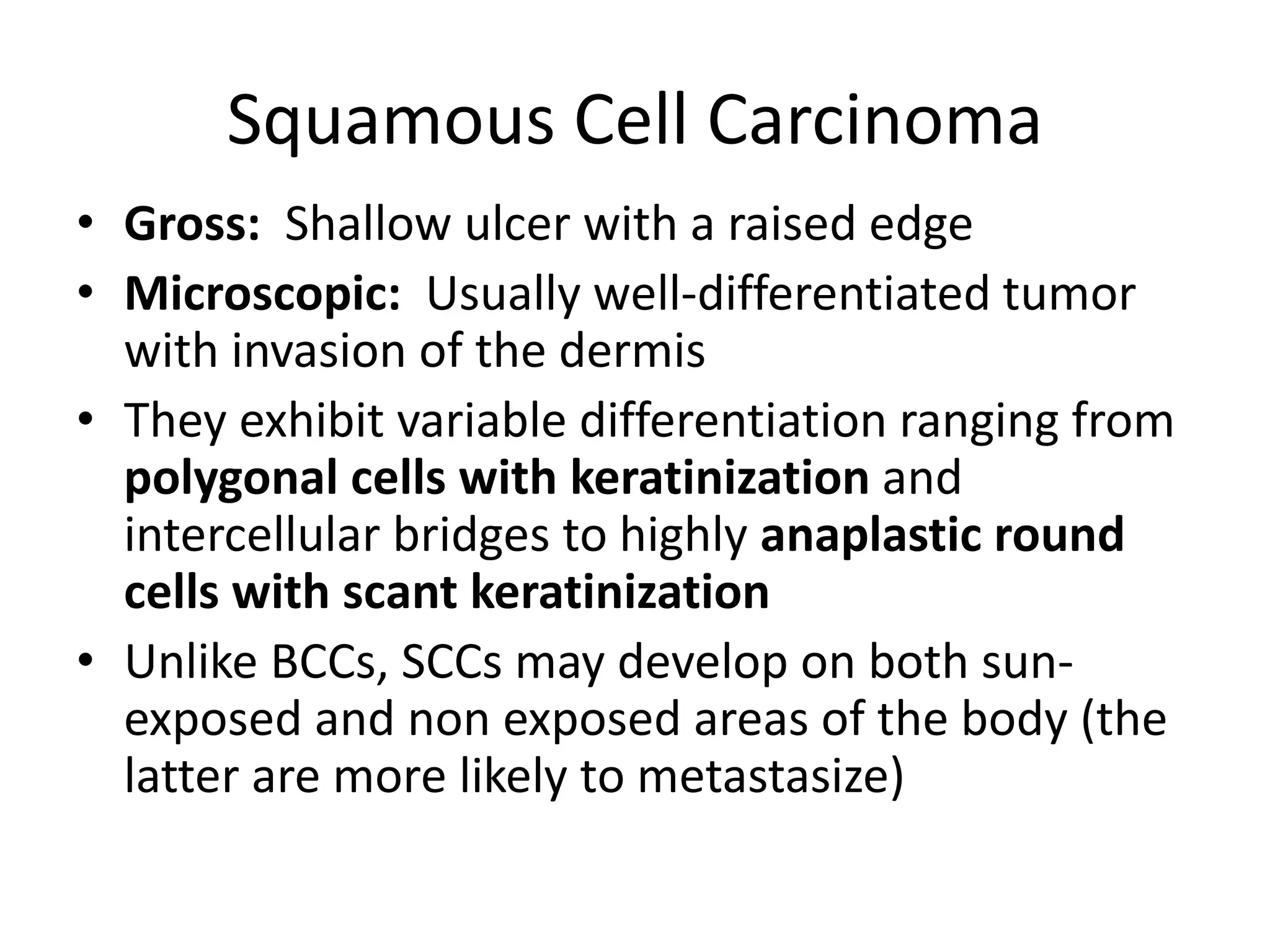 Dermatopathology2 | PPT