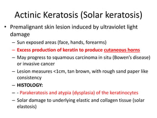 Dermatopathology2 | PPT