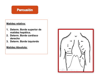 semiologia de enfermedades cardiovasculares | PPTX