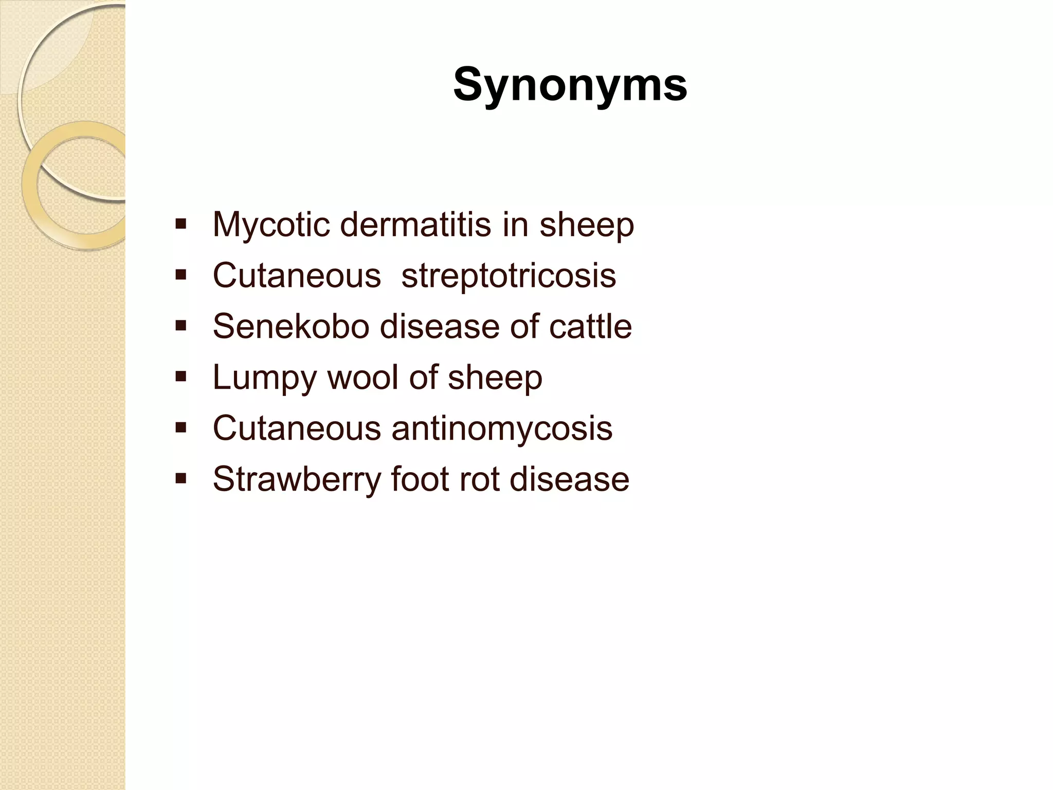 Dermatophilosis | PPTX
