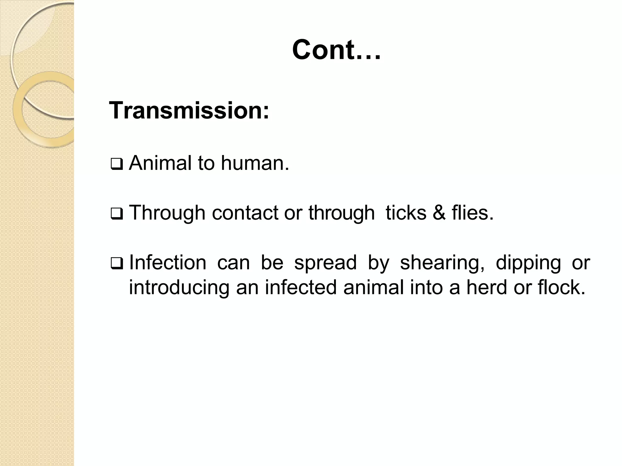 Dermatophilosis | PPTX