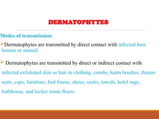 Dermatophyte Candidiasis,.pptx Manoj Mahato | PPTX