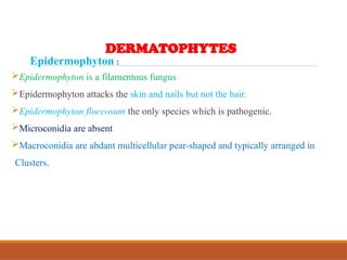 Dermatophyte Candidiasis,.pptx Manoj Mahato | PPTX