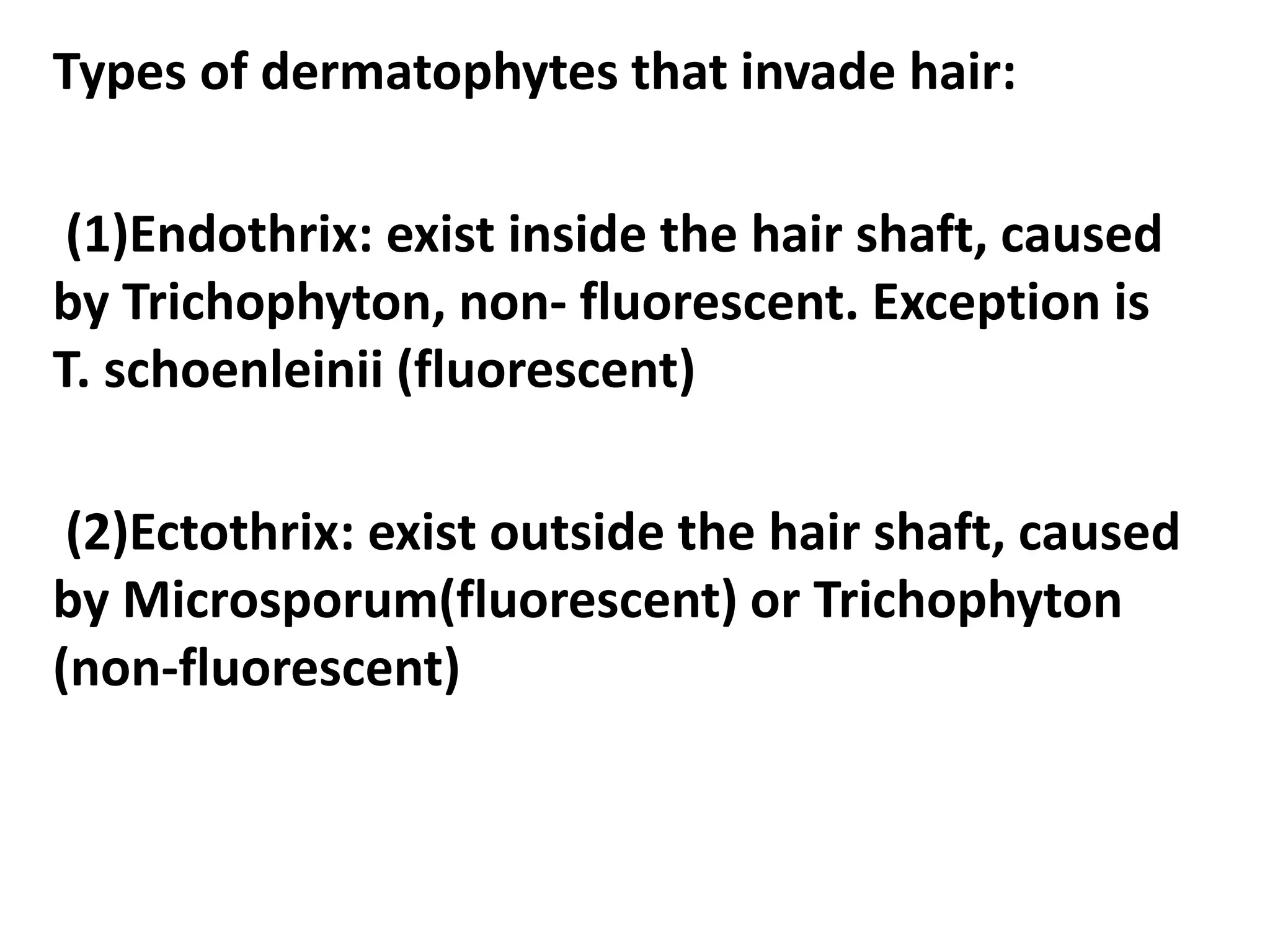 Dermatophyte infection (2).pptx | Skin and Dermatology | Diseases and ...