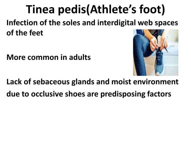Dermatophyte infection (2).pptx | Skin and Dermatology | Diseases and ...