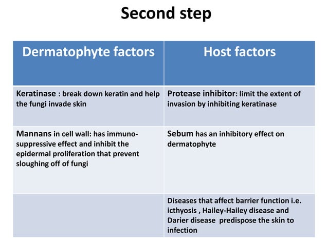 Dermatophyte infection (2).pptx | Skin and Dermatology | Diseases and ...