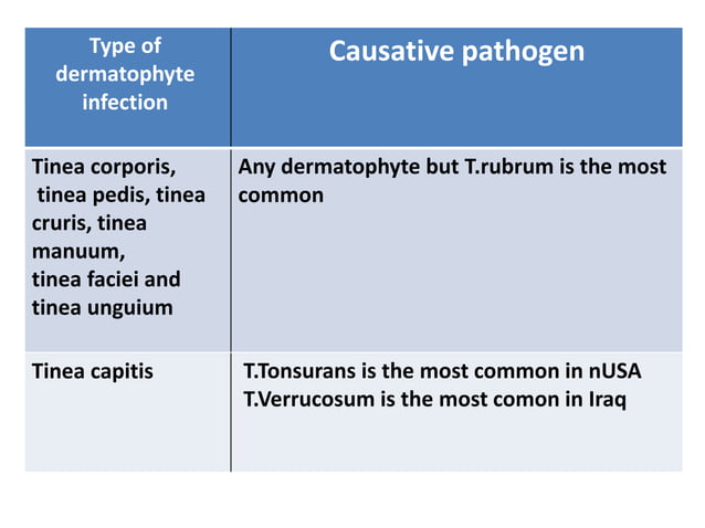 Dermatophyte infection (2).pptx | Skin and Dermatology | Diseases and ...