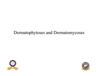 Dermatophyte malassezia | PDF