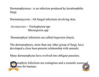 Dermatophyte malassezia | PDF