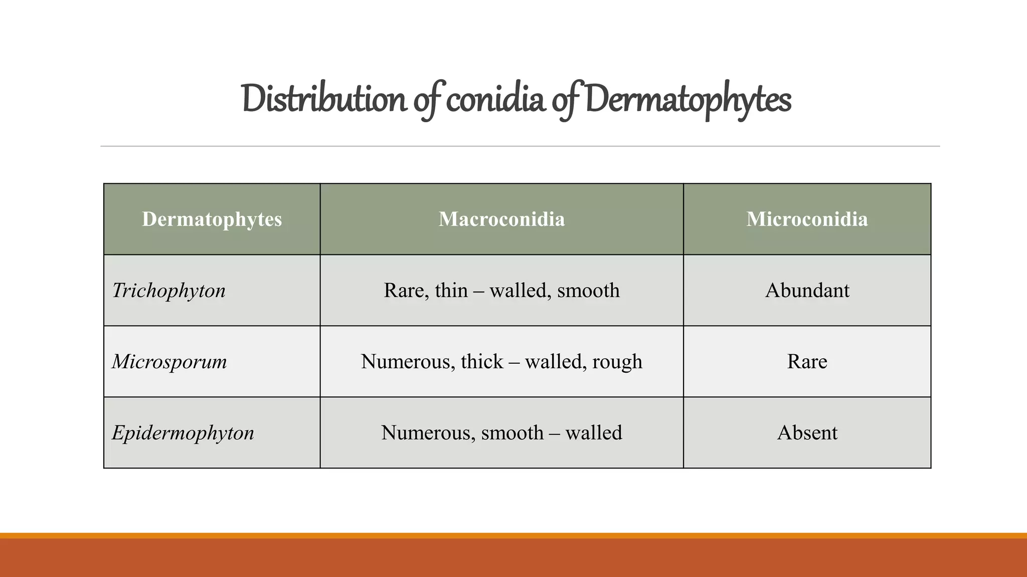 Dermatophytes | PPTX